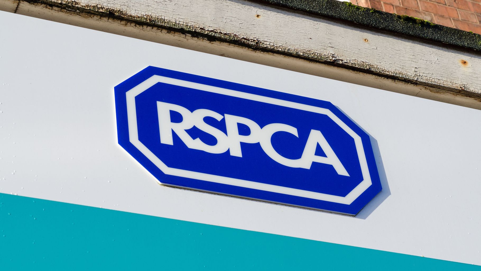 RSPCA appeal for information after video of animal cruelty shared online