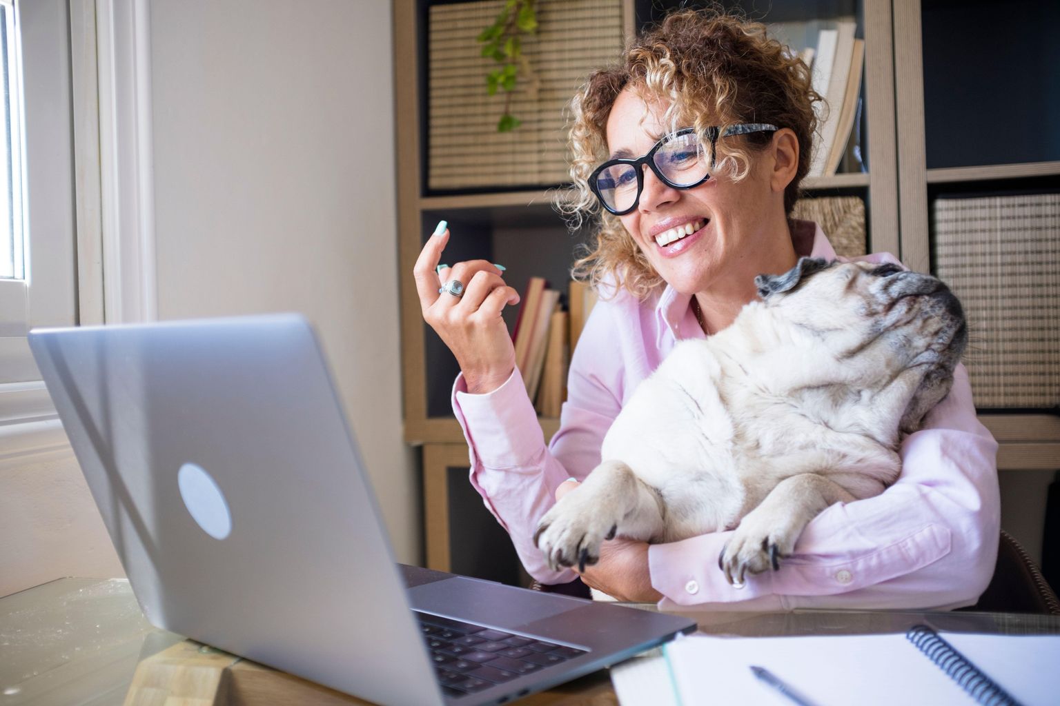 Dogs are learning new words through Zoom, new research shows