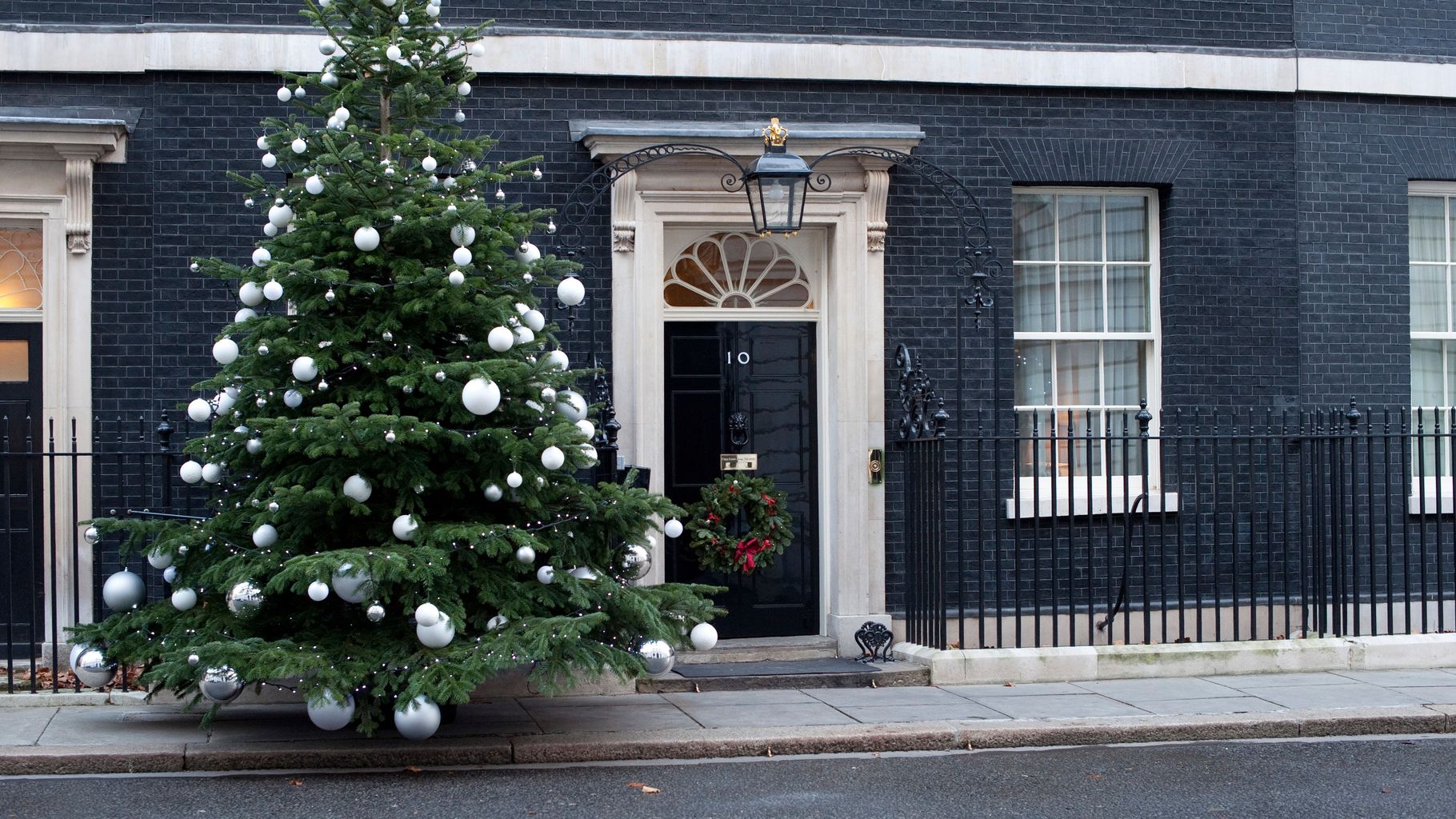Downing Street unveiling for Devon Christmas tree | News - Greatest ...