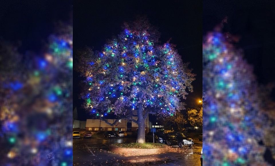 Amesbury's Tree of Light to be illuminated later