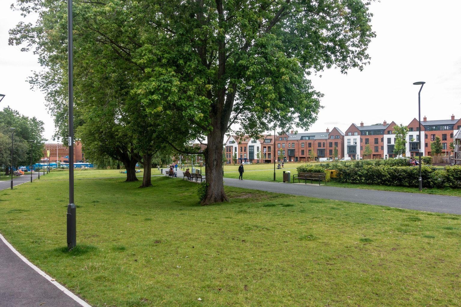 Wokingham Borough Council launch Green Forest Scheme