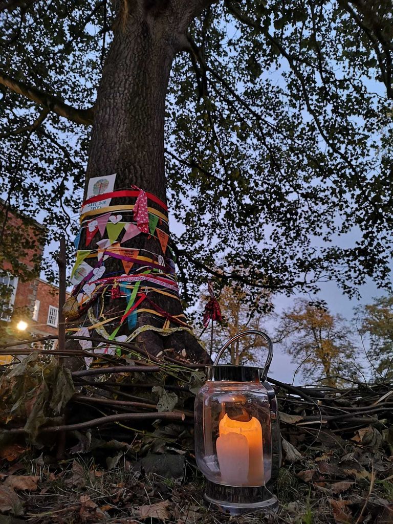 A Newark tree saved from the chop has been shortlisted to become ‘Tree ...