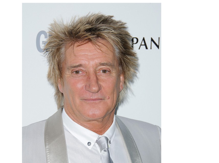 Rod Stewart and his son Sean have pleaded guilty to battery following ...