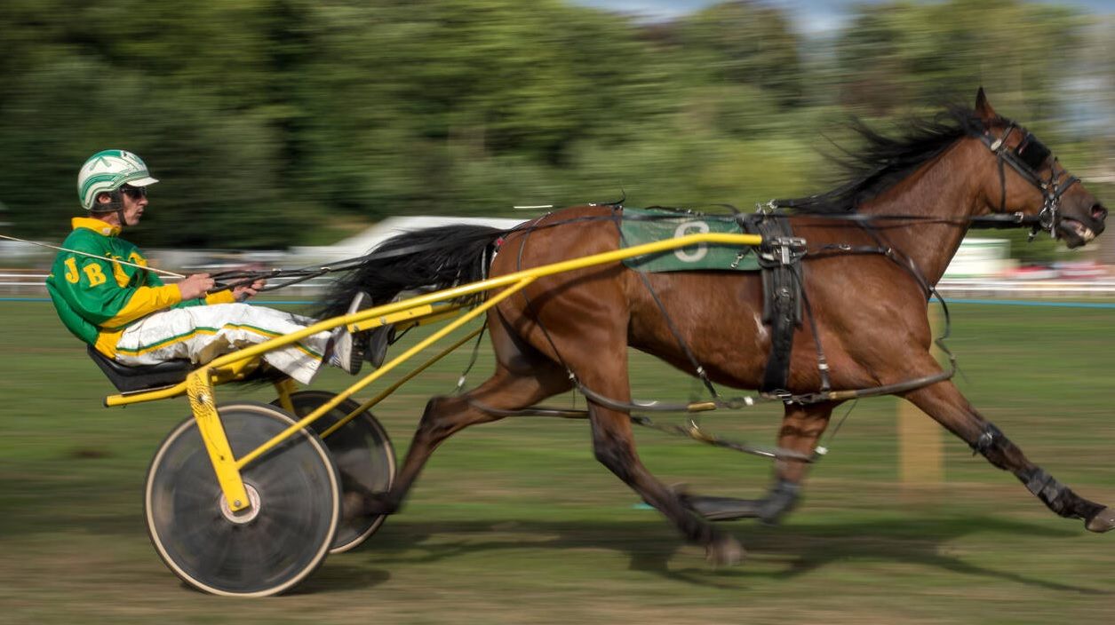 Extra powers to stop Hampshire horse-and-trap racing | News - undefined