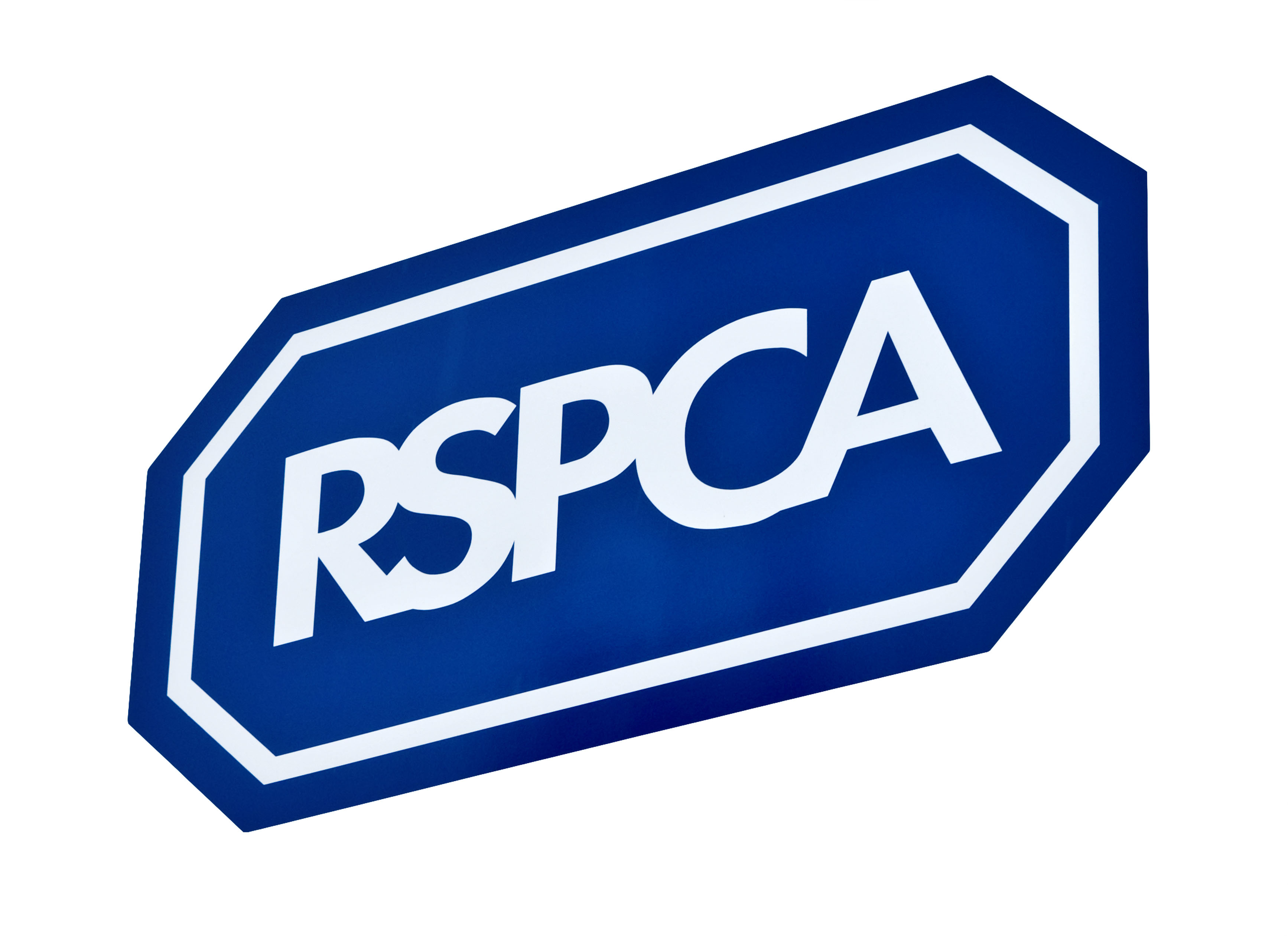 RSPCA reveals top rescues of 2021 in the North | News - Greatest Hits ...