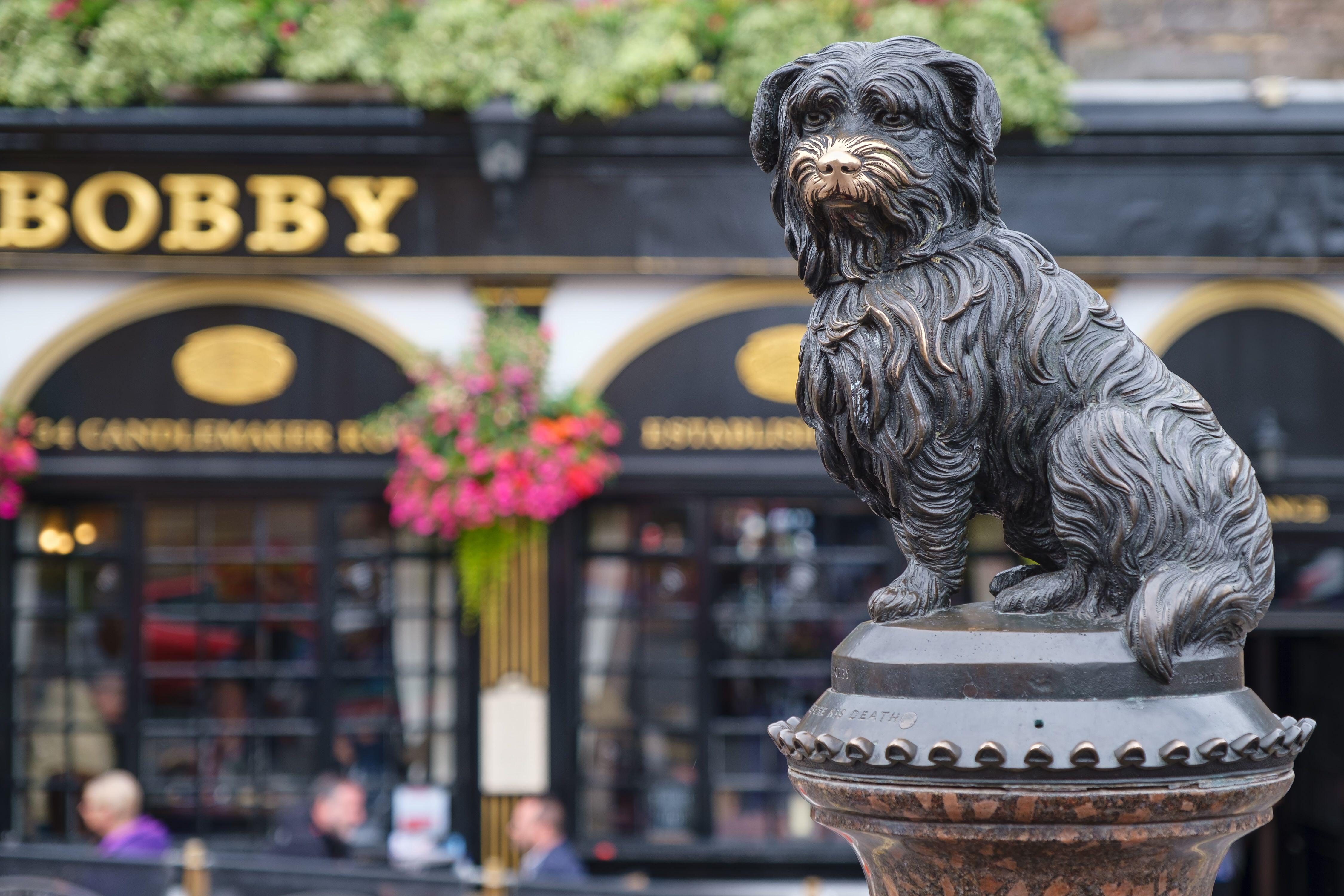 Greyfriars Bobby may have been a different breed of dog, book suggests