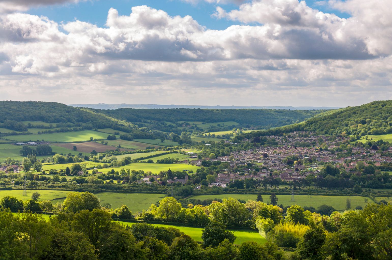 Former park and ride site to become UK's first 'green corridor' | News ...