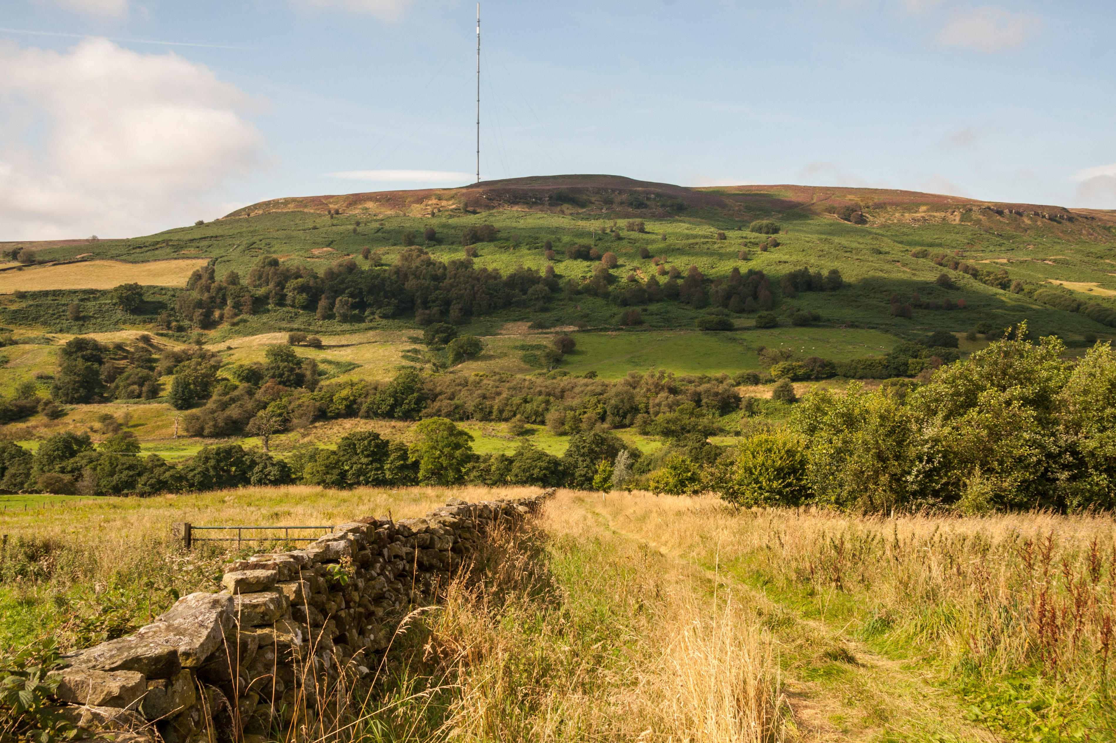 Households still affected by Bilsdale mast fire could have to wait 19 ...