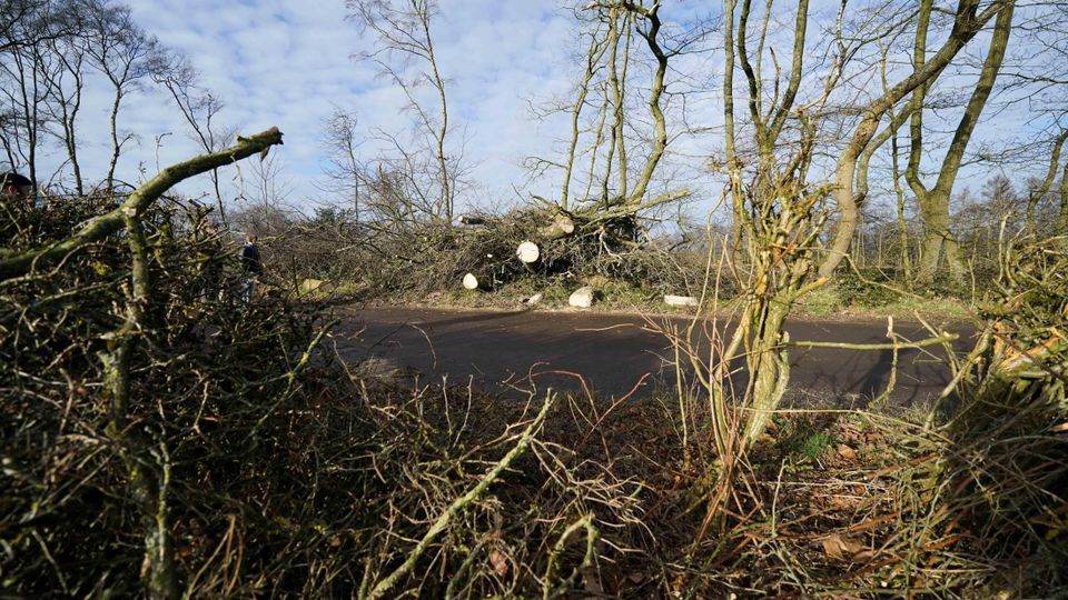 Storm Eunice: Essex family home destroyed after 400-year-old Oak Tree ...