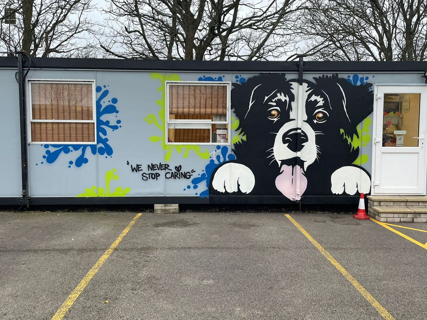 Artist dubbed 'Banksy of Cornwall' paints graffiti for animal rescue ...