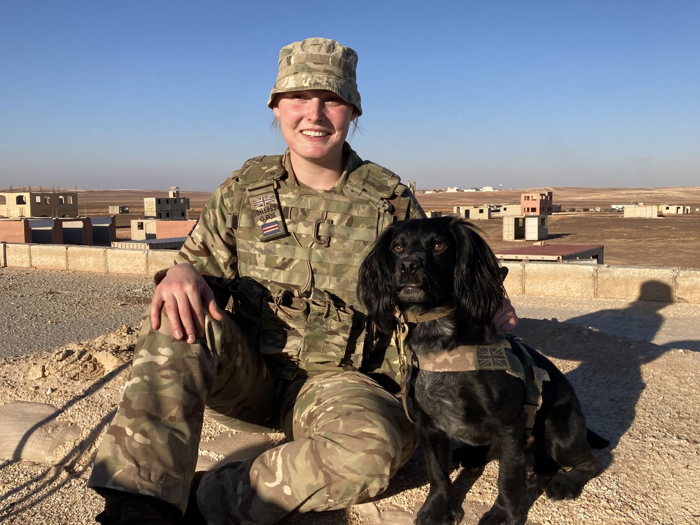 Military dogs capture hearts during army training exercise in Jordan