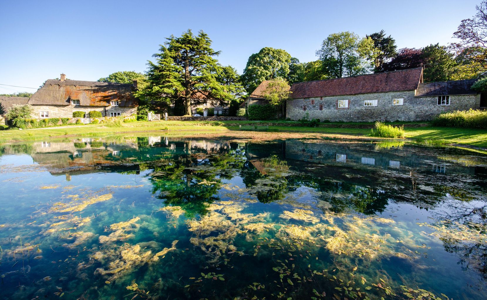 Calls to bring Dorset's 'ghost' ponds back to life