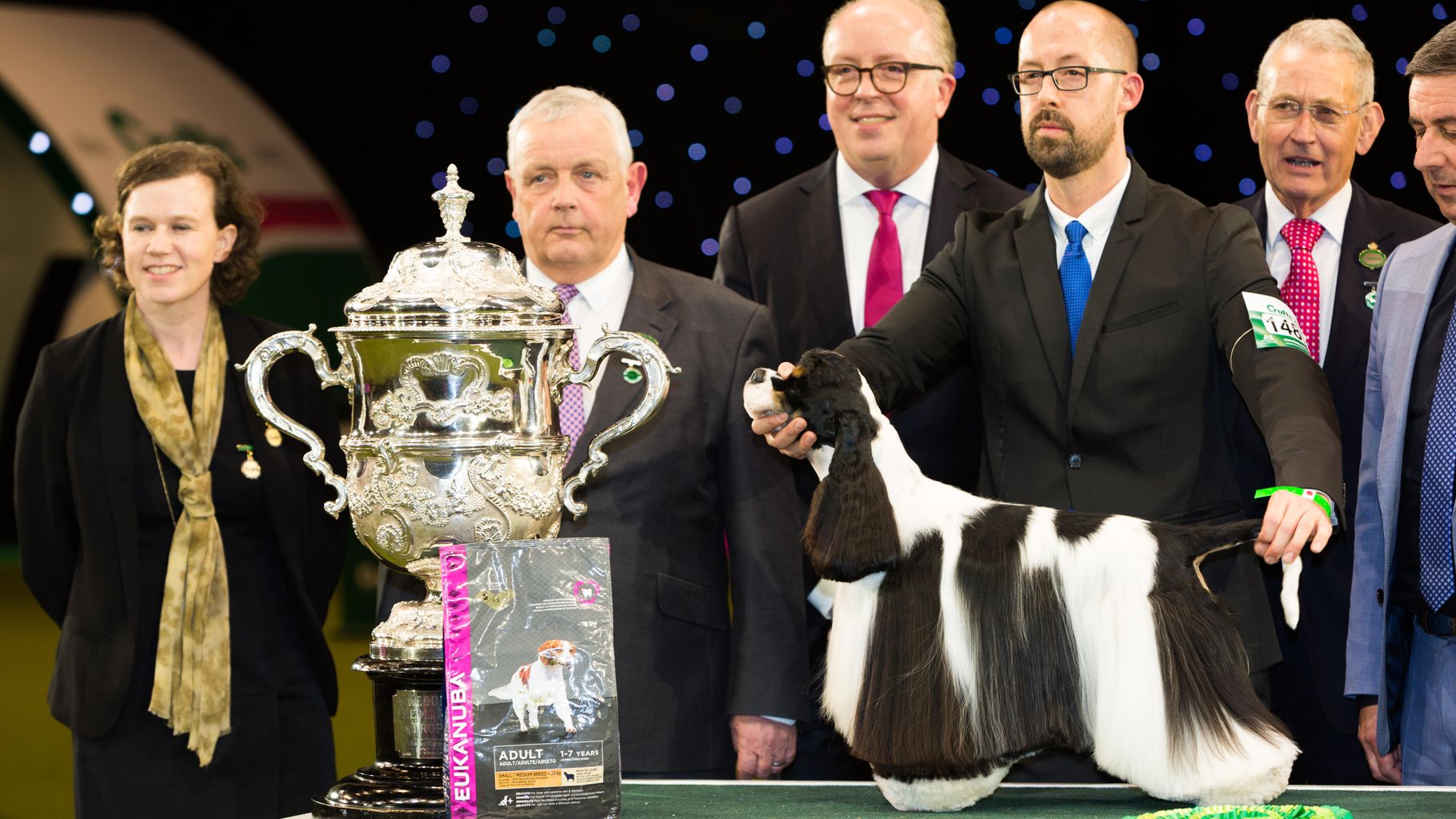 The dogs are back! 20,000 dogs head to Birmingham for Crufts