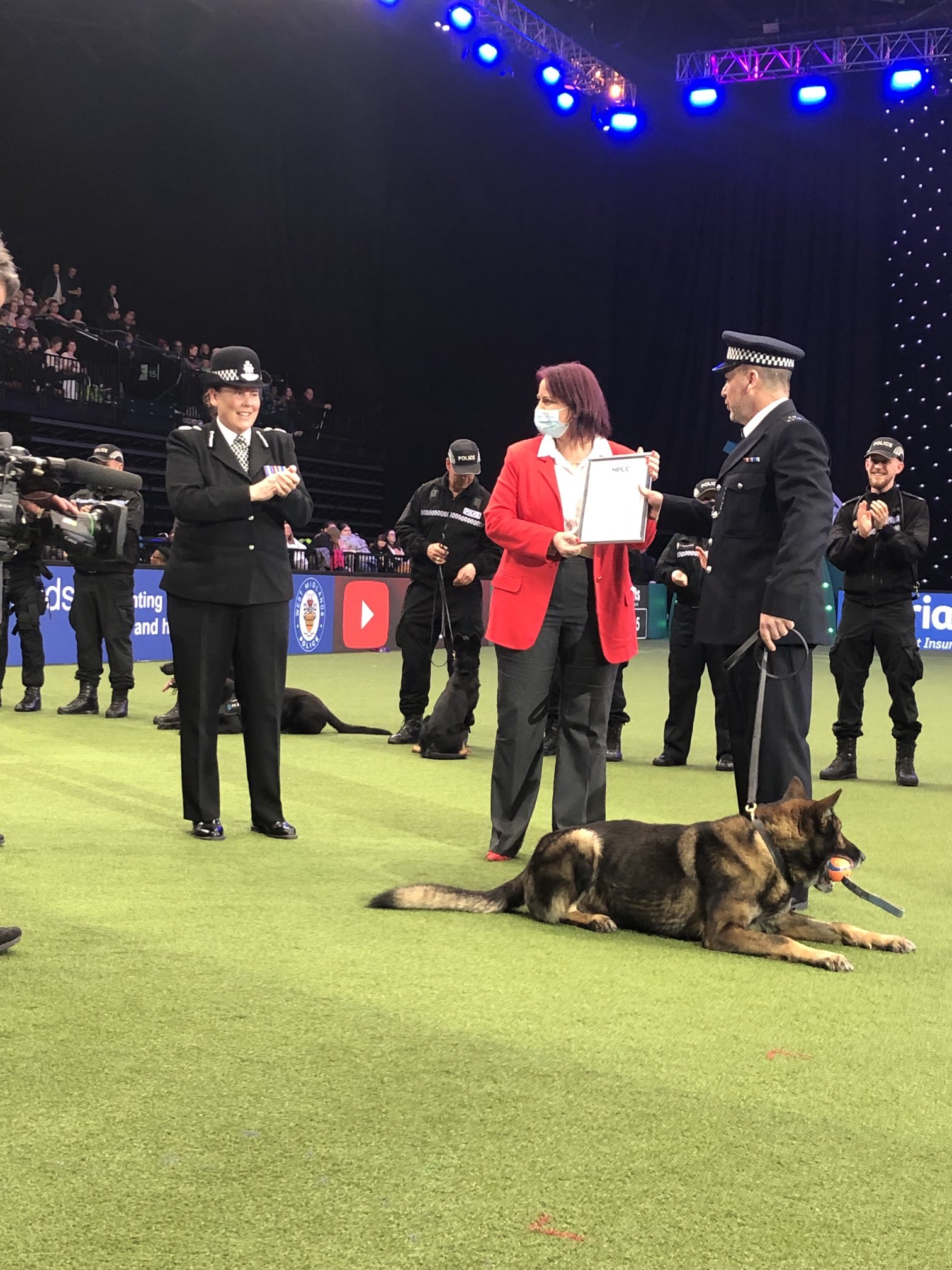 Brave London police dog awarded