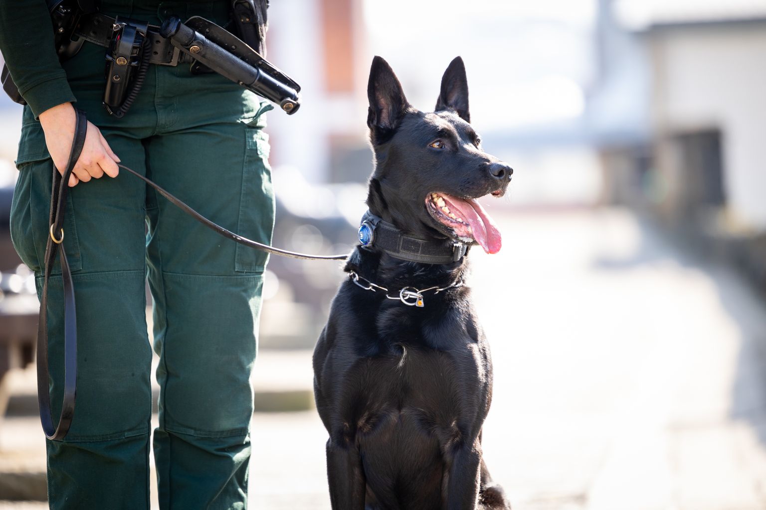 New dog unit launched in L'Derry | News - Cool FM