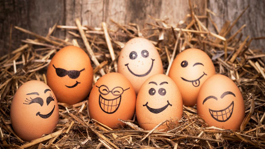 Easter egg jokes store