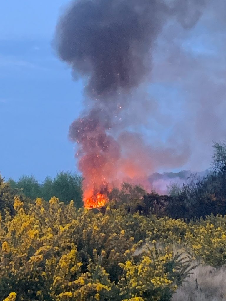 Crews tackle six fires out in the open in single day in Hampshire