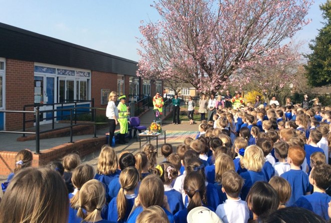 Dorset's longest serving lollipop lady retires | News - undefined
