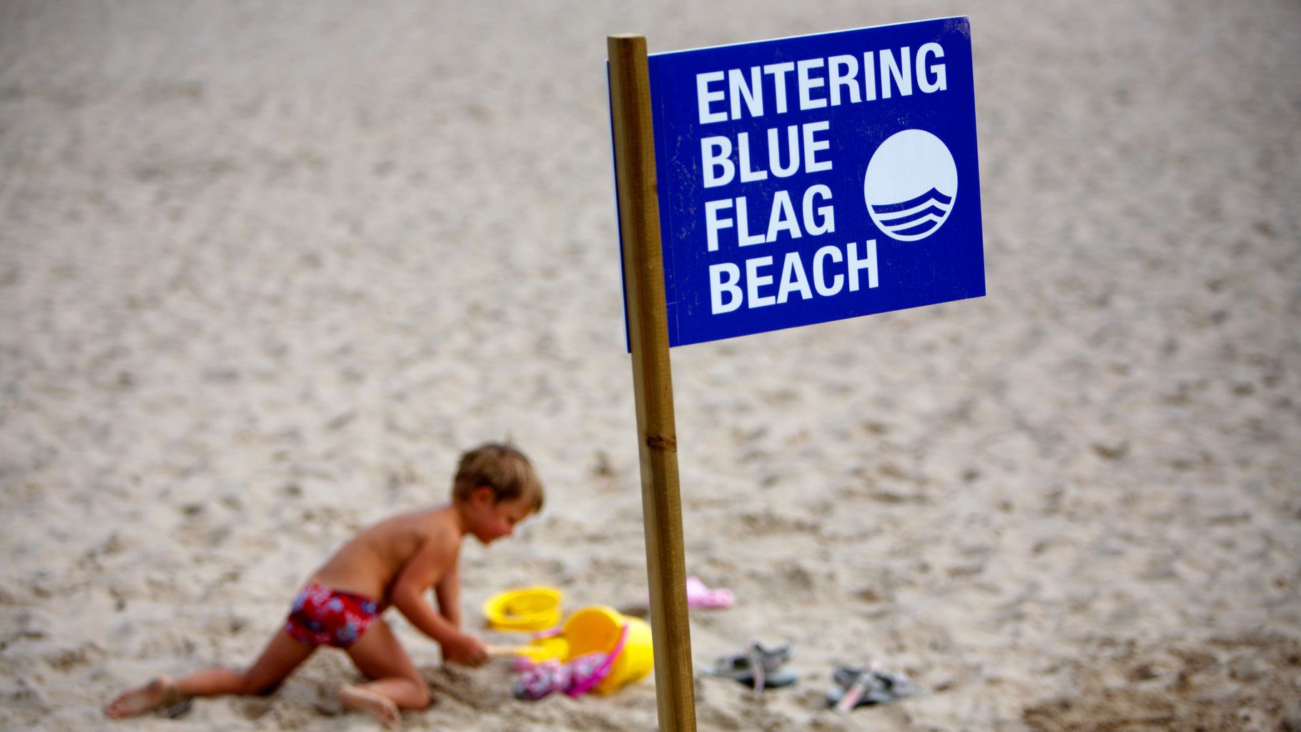 Sussex beaches to fly Blue Flags this summer