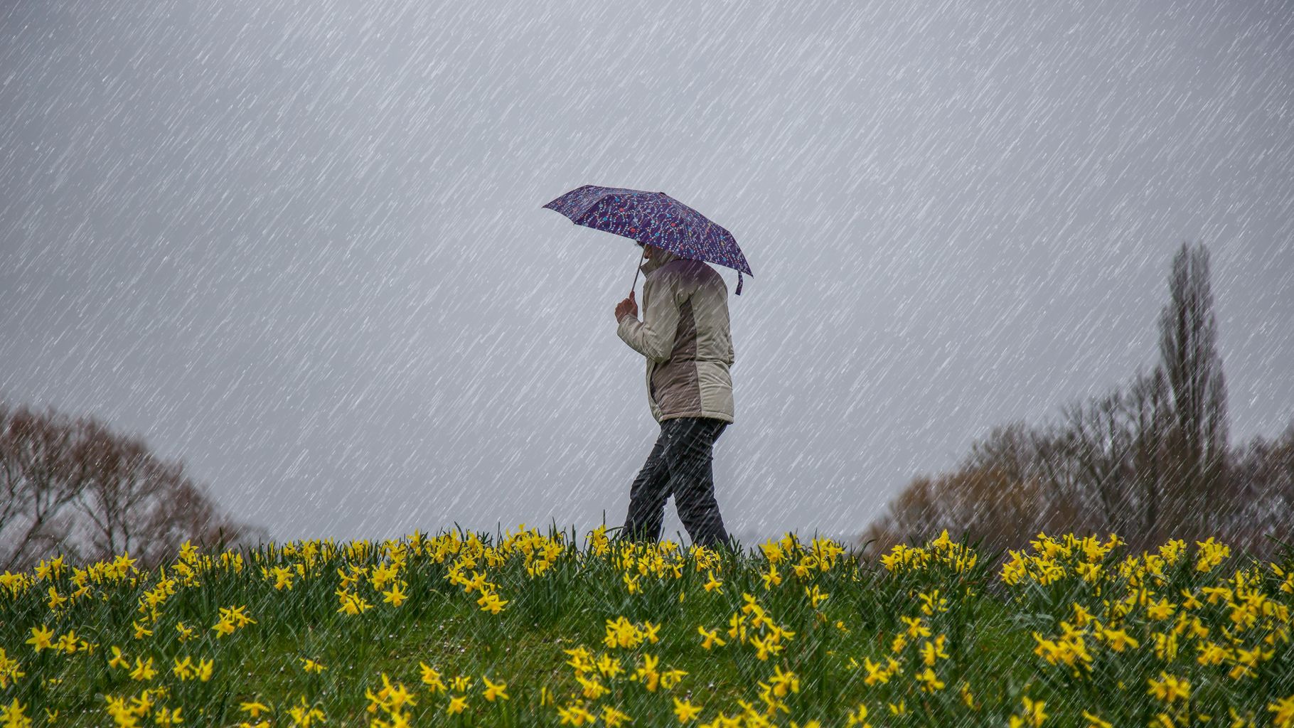 'Blood rain' could hit UK as thunderstorms move in