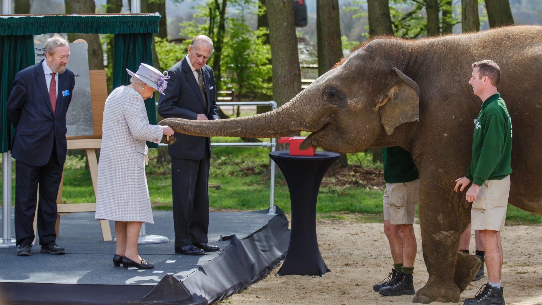 The day Queen Elizabeth fed the elephants at Whipsnade Zoo