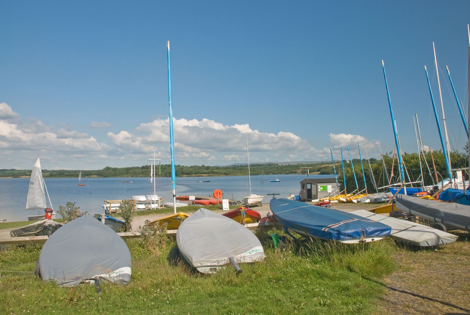 Activity centre staff praised for heroic actions following Devon lake ...