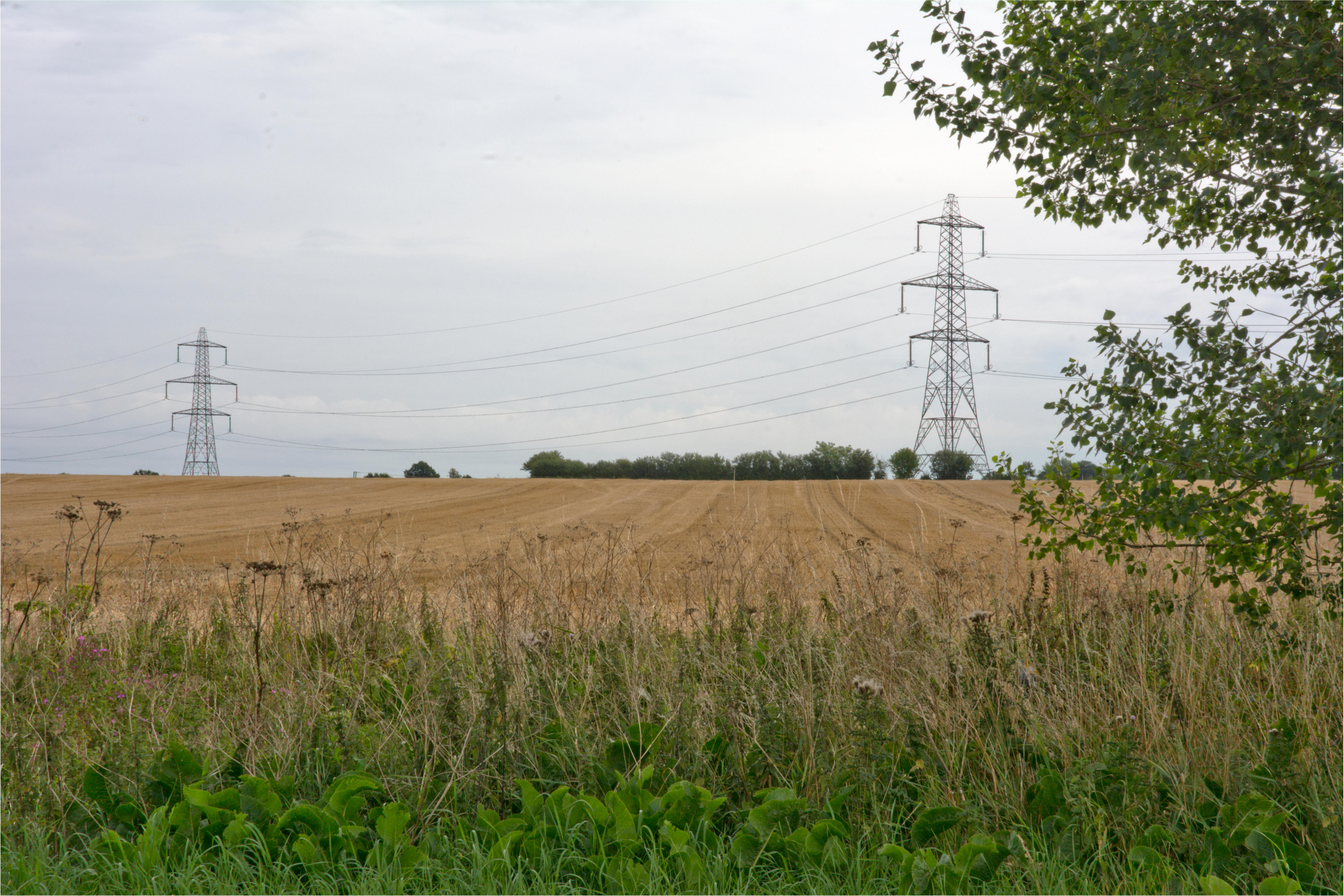 Legal expert attacks plans for new pylons across East Anglia | News ...