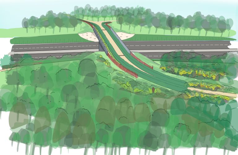 County Council to press ahead with Norwich Western Link despite rising ...