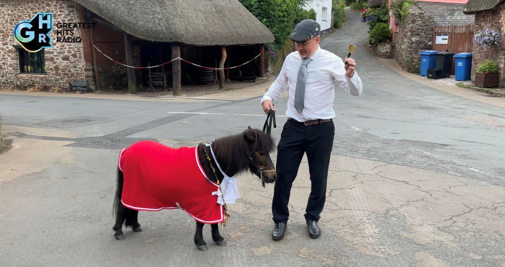 Patrick the Pony to become Mayor of Cockington after a petition | News ...
