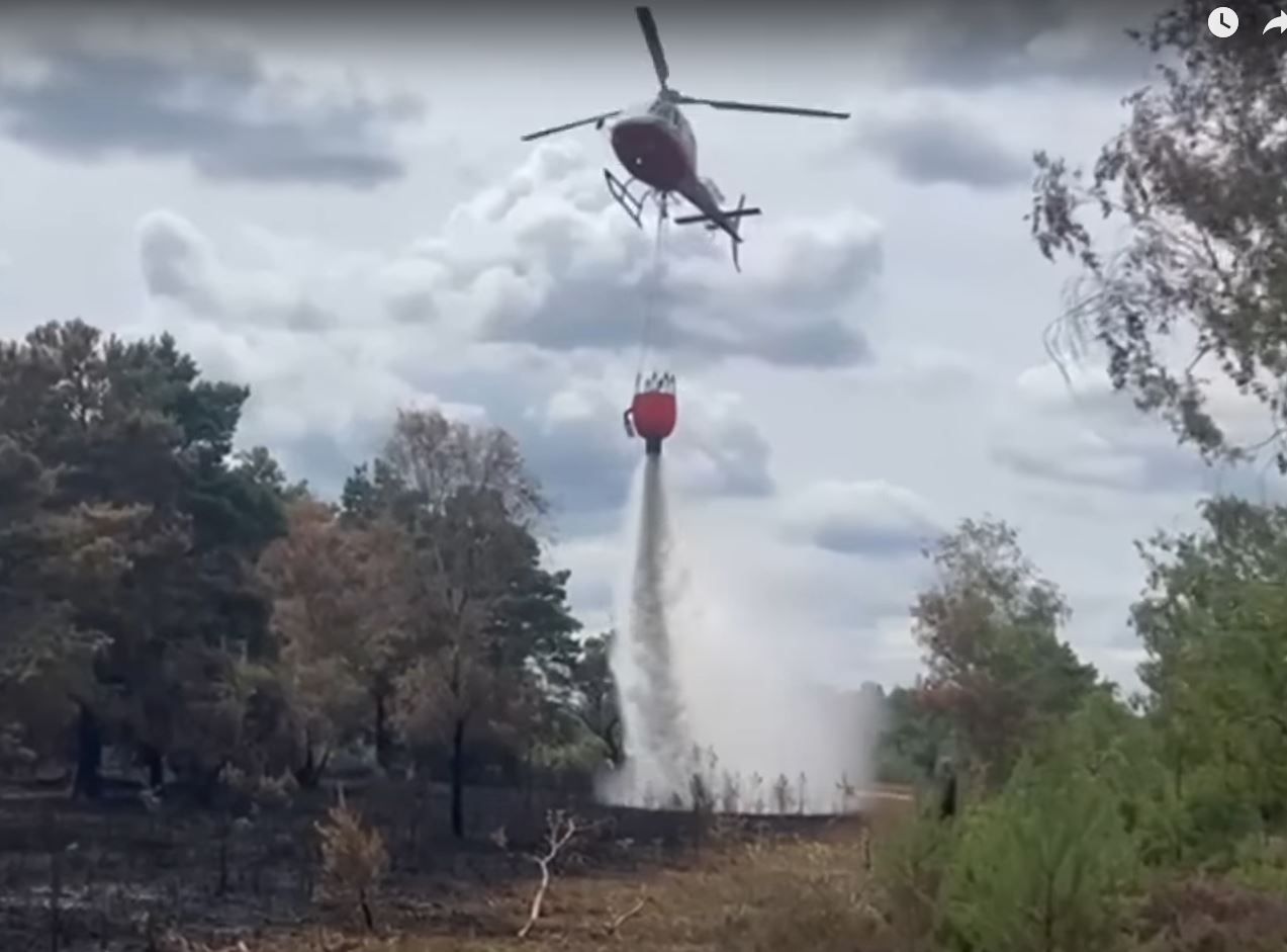 watch as water bomb dropped on Hankley Common