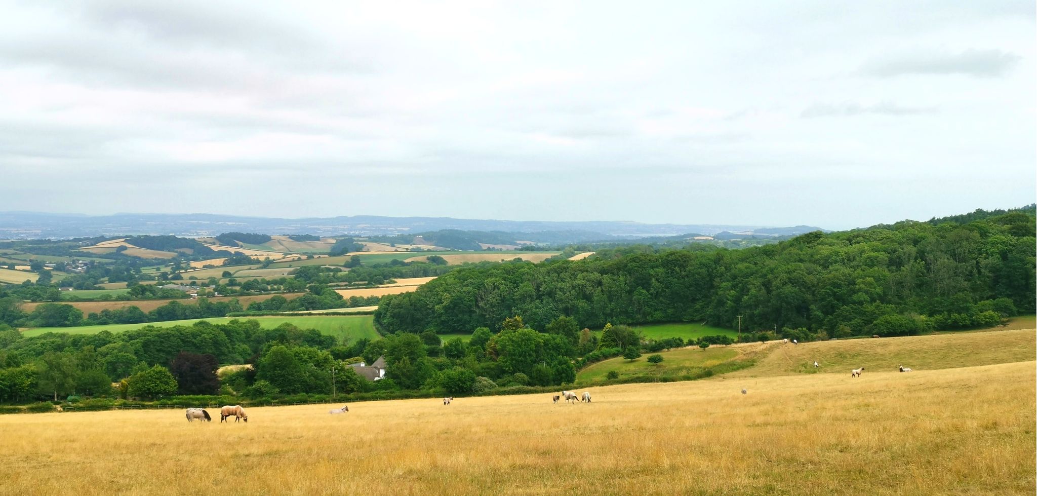 A new Pilgrimage route is launching through Devon’s Teign Valley | News ...