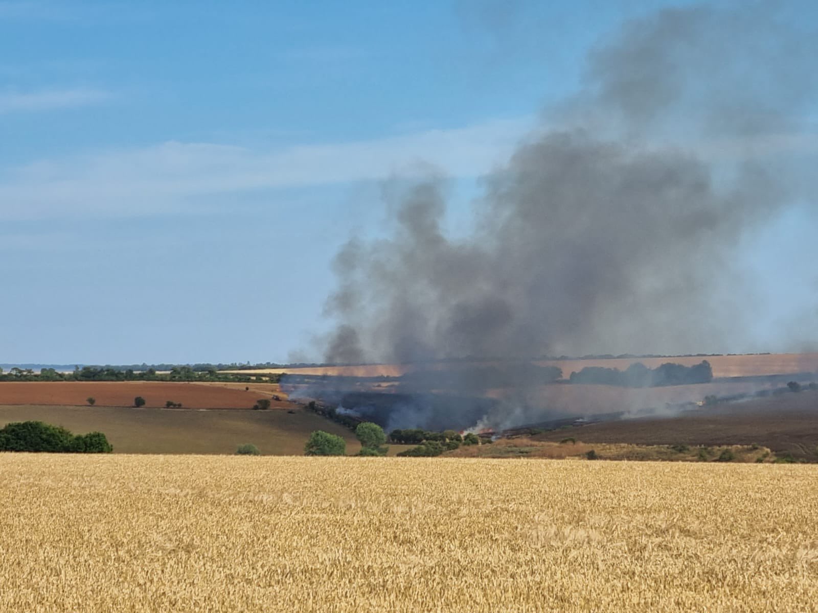 Firefighters battle more field fires across Wiltshire as temperatures soar