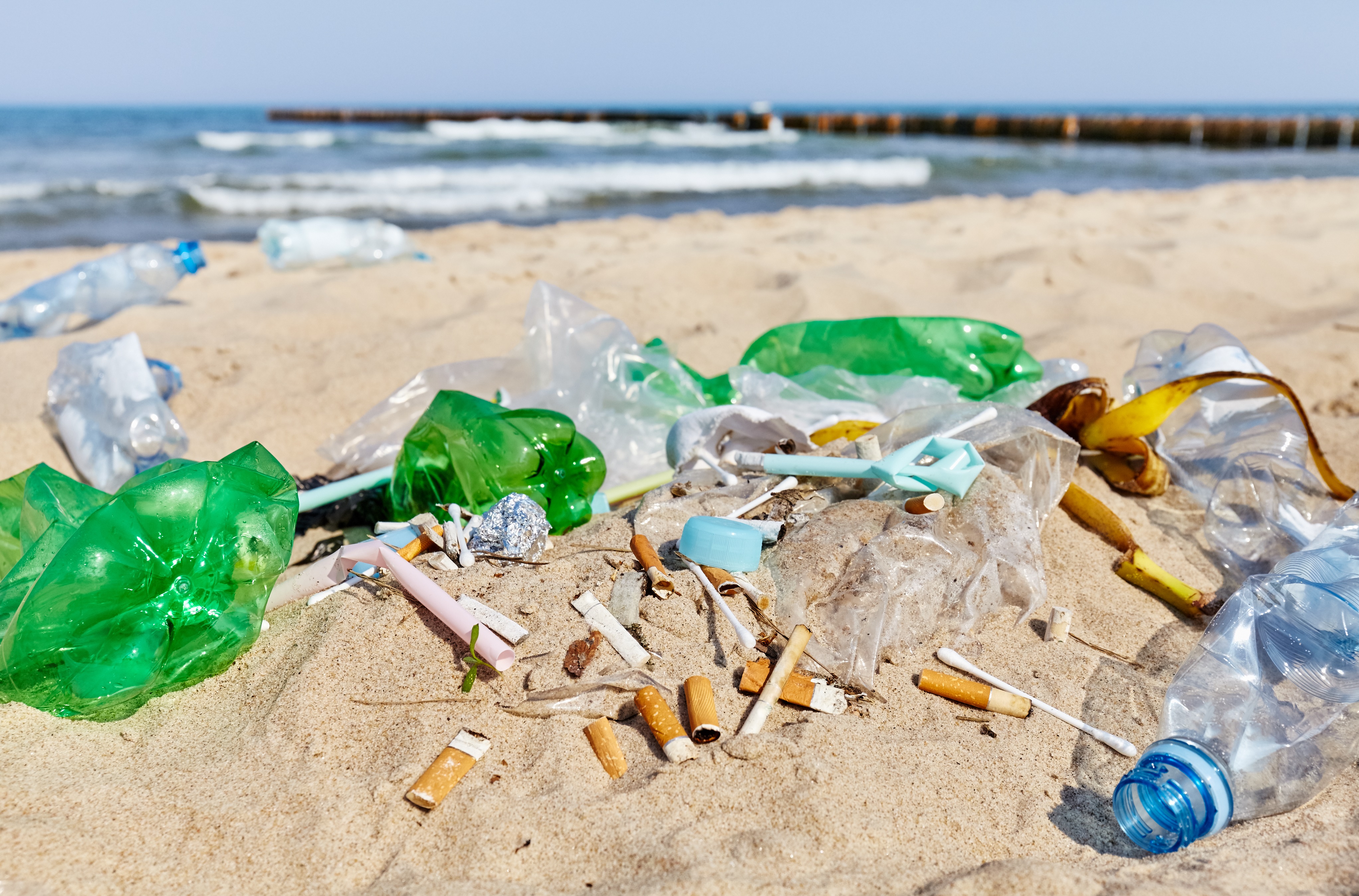Only three fines for Bournemouth beach litter | News - undefined