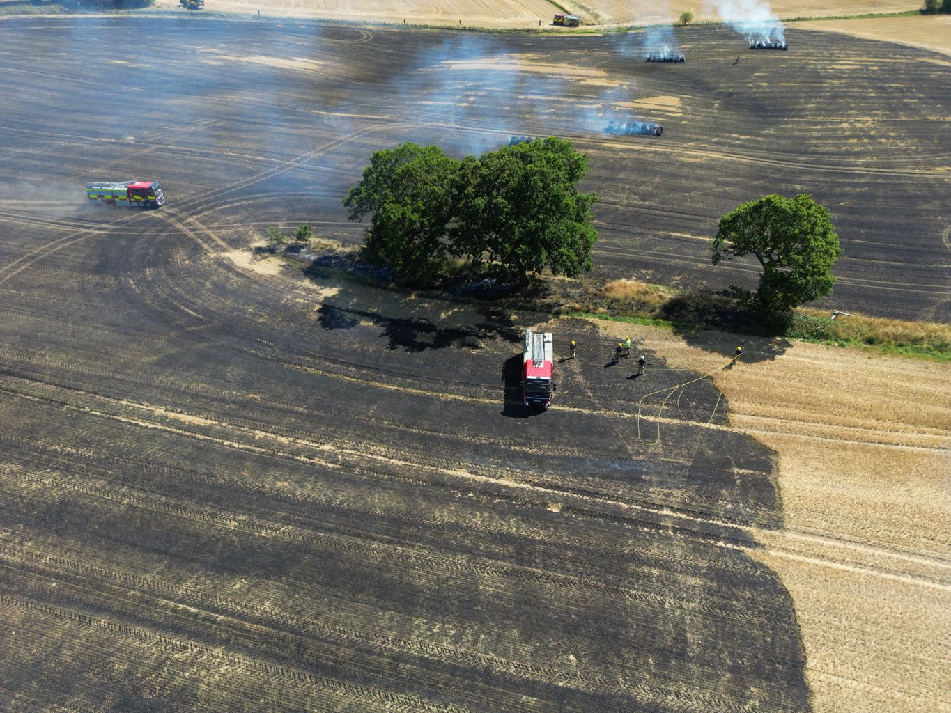 UK Heatwave leads to wildfires across Teesside and County Durham