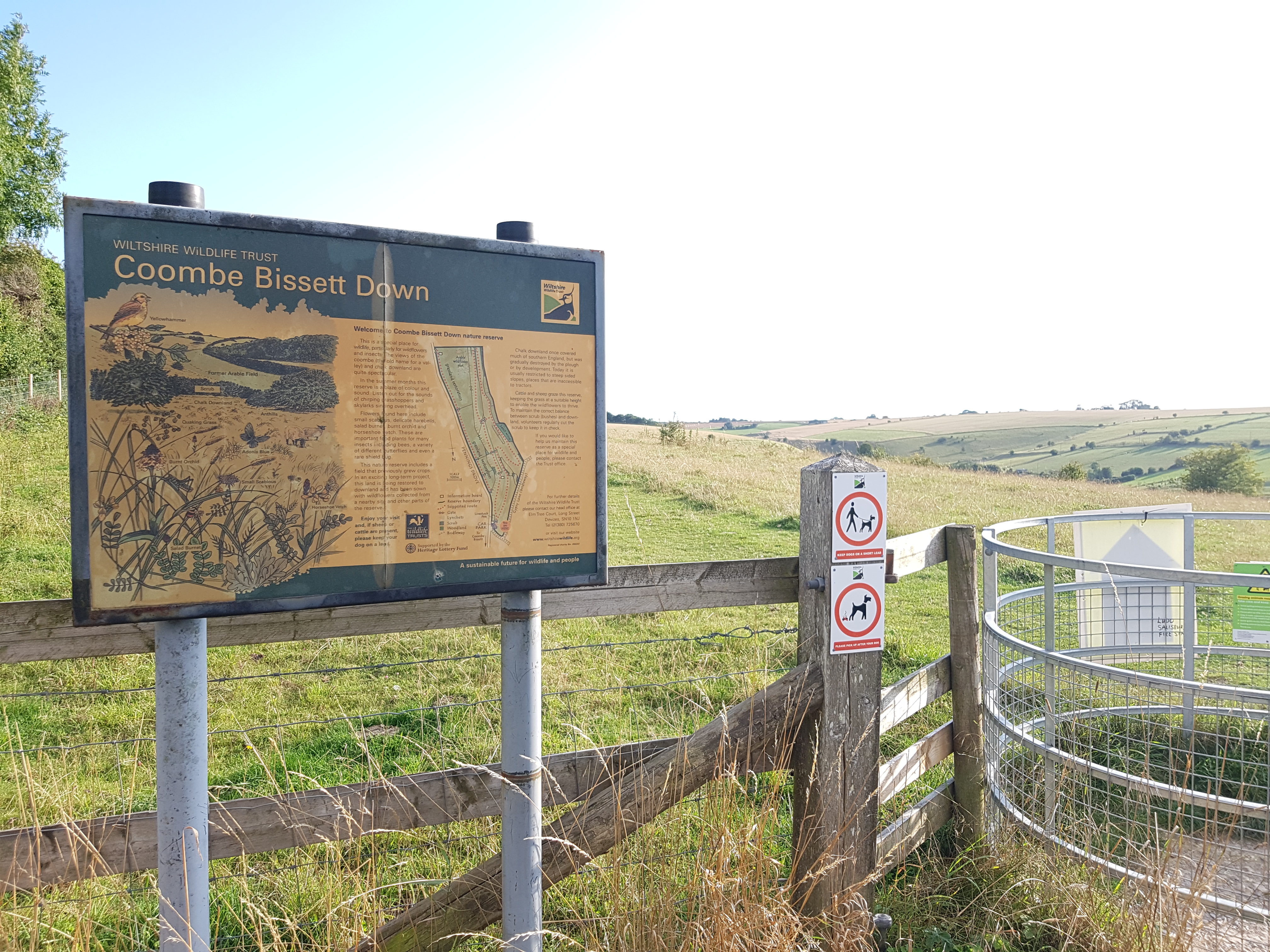 Animals dying from heat according to Wiltshire Wildlife Trust | GHR ...