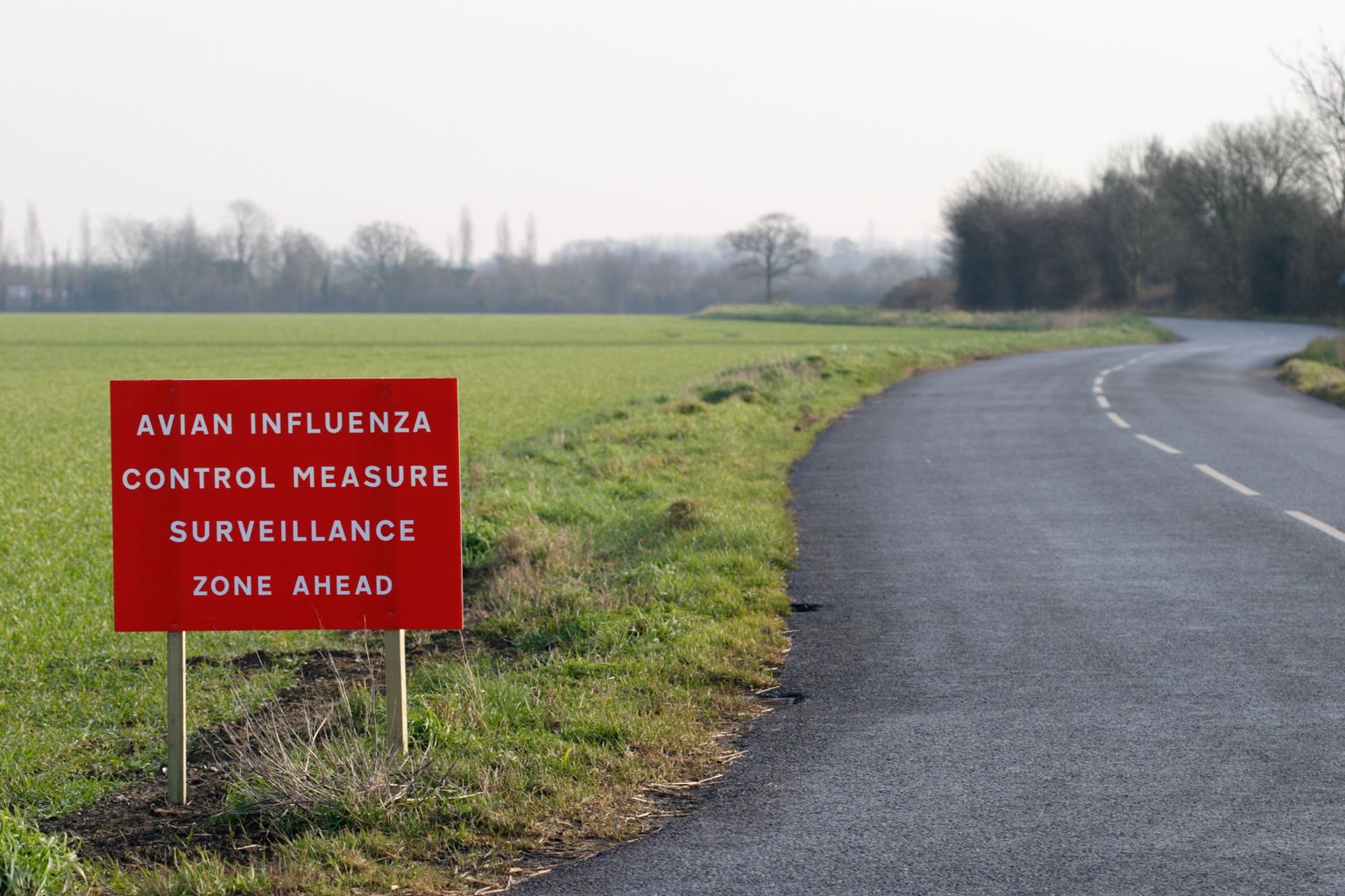 Warning to poultry keepers after confirmed outbreak of bird flu in Cornwall