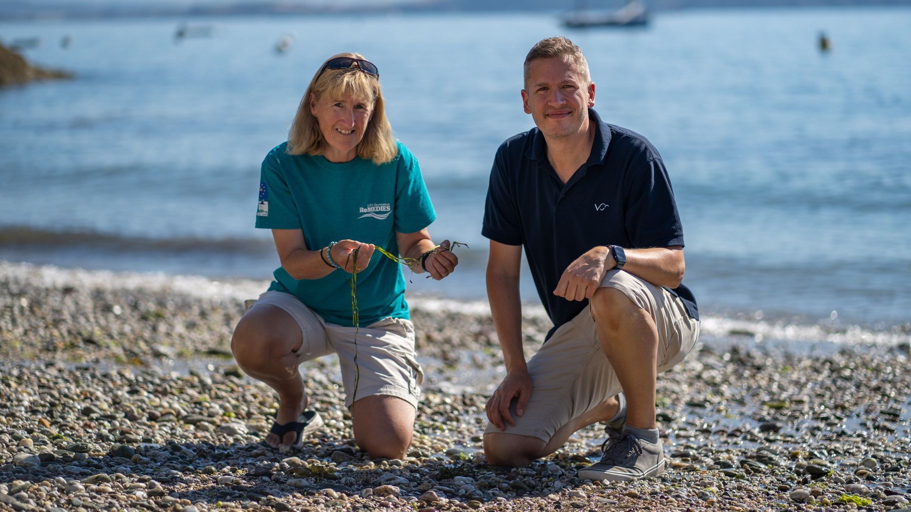 Boost to Devon pilot trying to restore underwater meadows | News ...