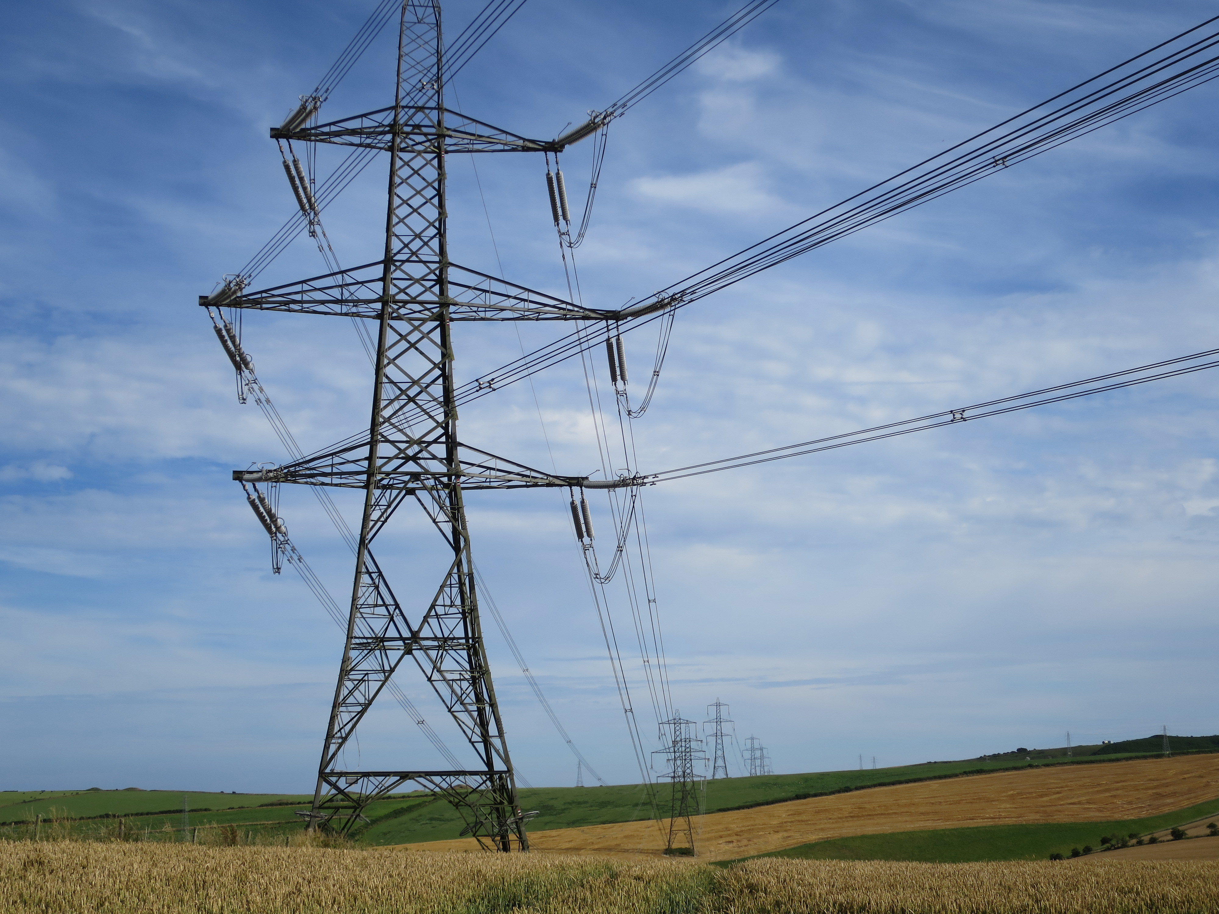 £116 million project to take down Dorset pylons has begun