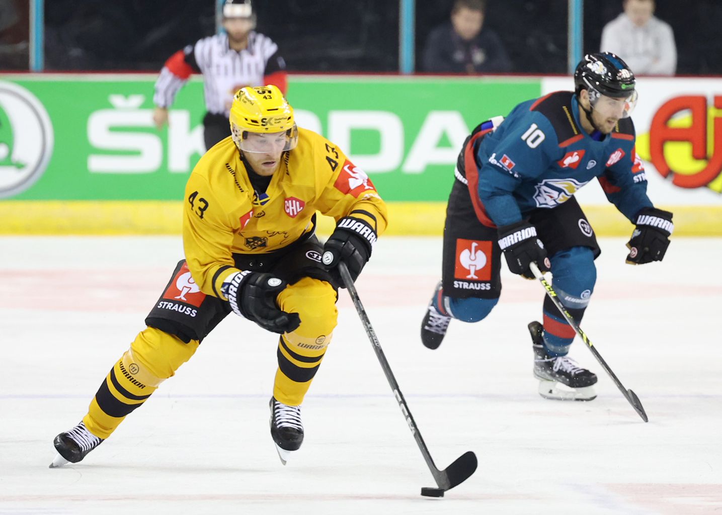 Champions Hockey League: Giants edged out by Skellefteå AIK | News ...