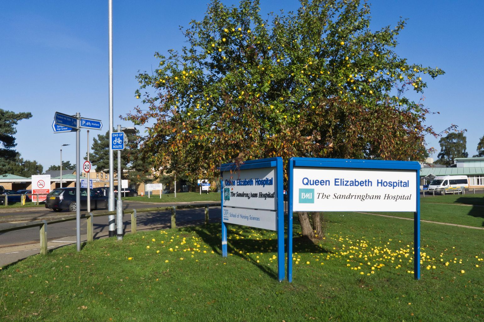 Paediatric nurse at QEH wins national award | News - Greatest Hits ...