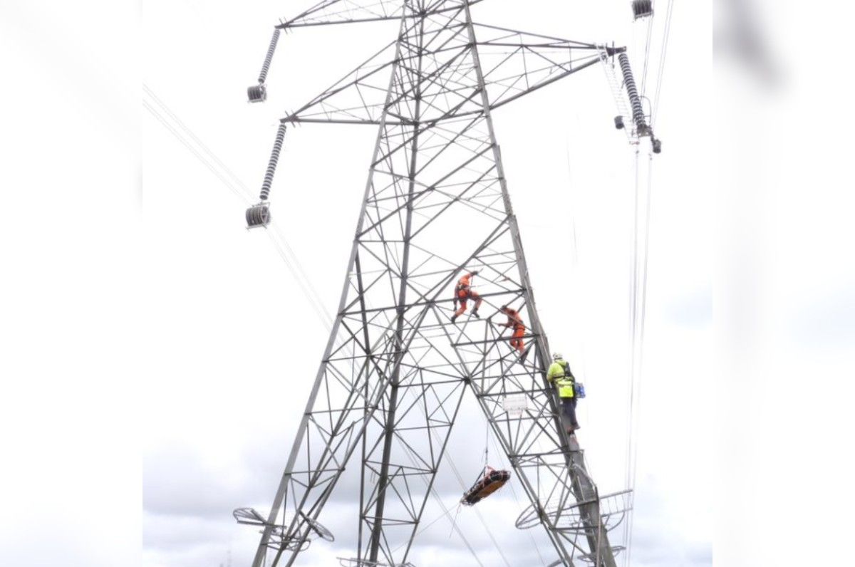 Dorset firefighters climb disconnected Winterbourne Abbas pylon