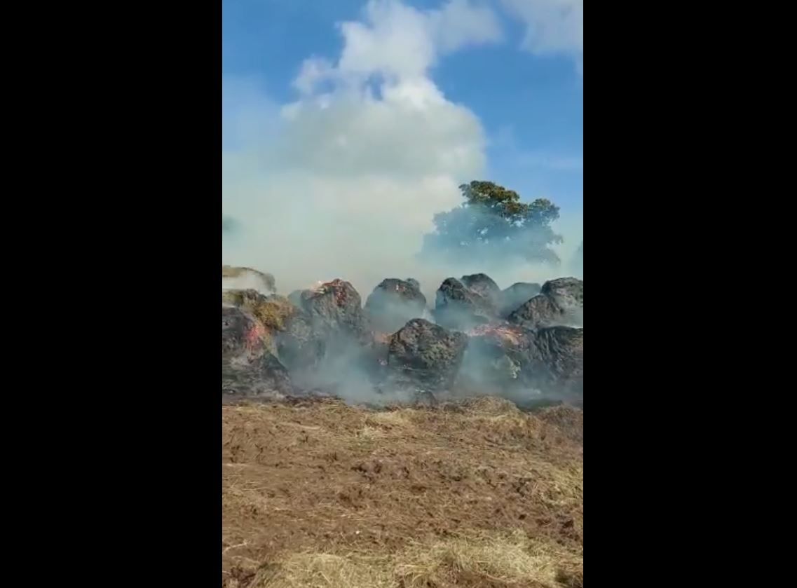 Firefighters tackle blaze involving 100 hay bales near Semley Common