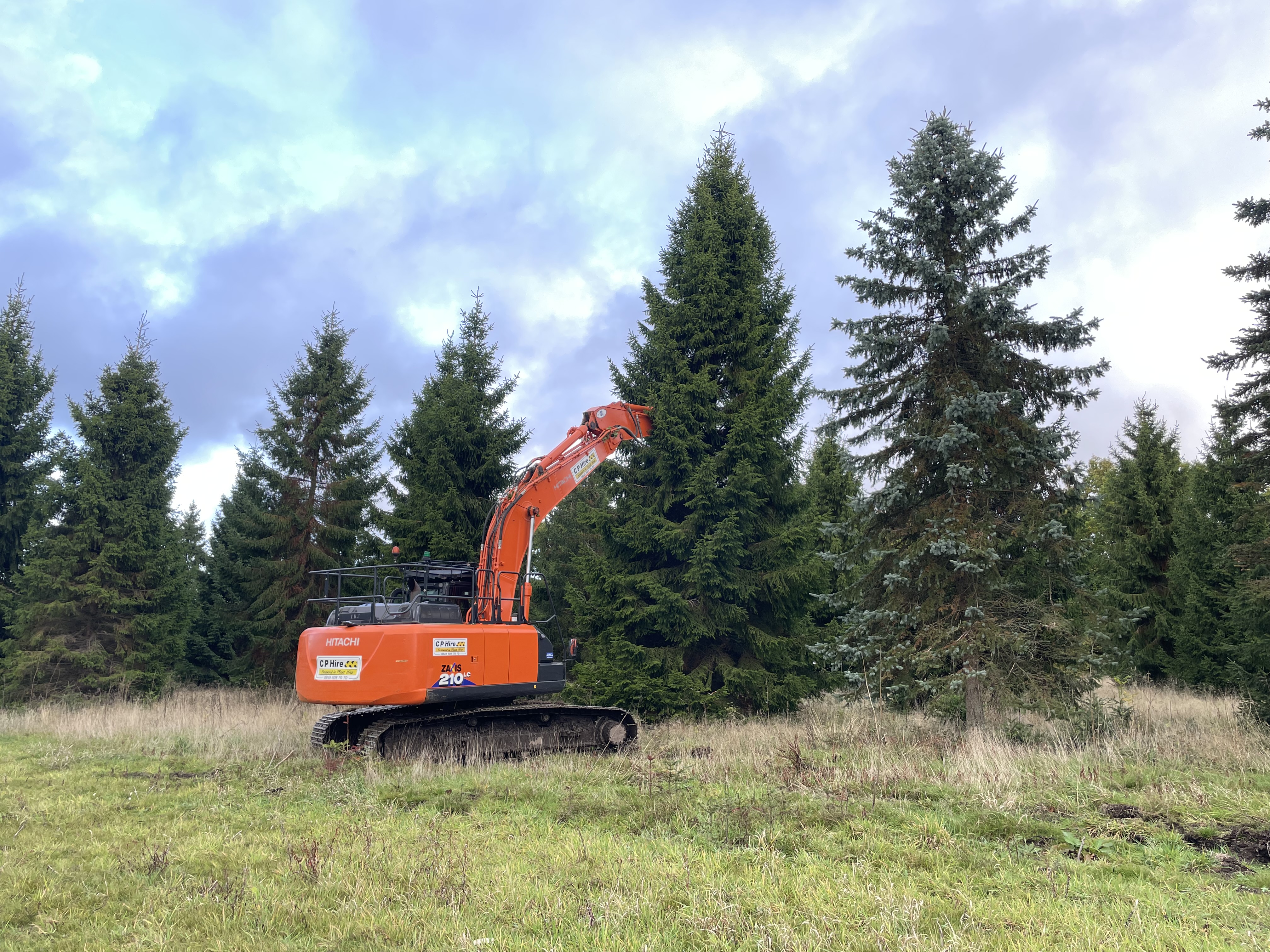 Covent Garden's famous Christmas Tree is supplied by a farm in Solihull