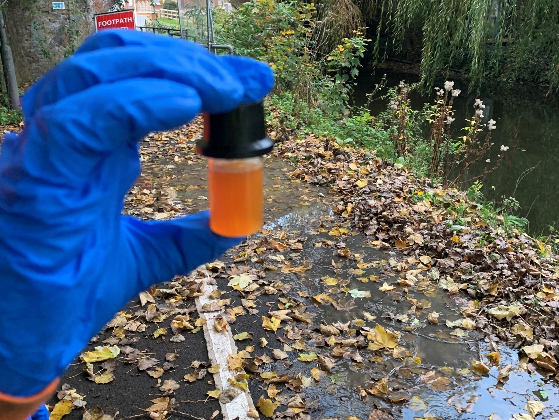 Sewage was discharged into the river Avon in Salisbury, Environment ...