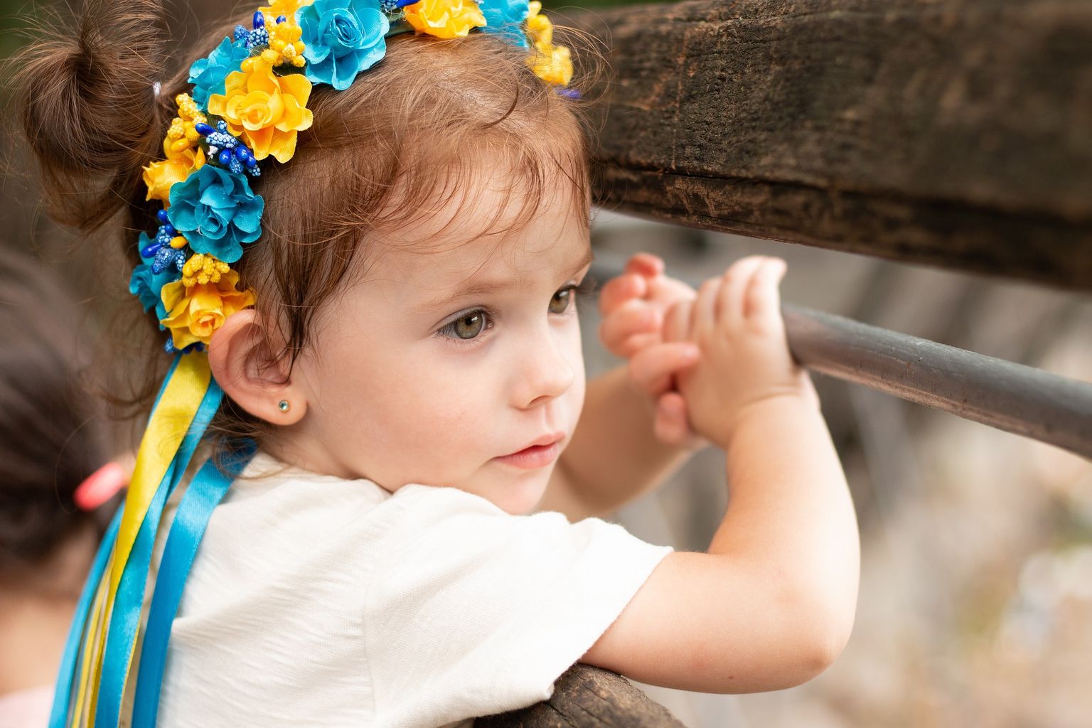 130 host families in Dorset waiting to be matched with refugees from ...