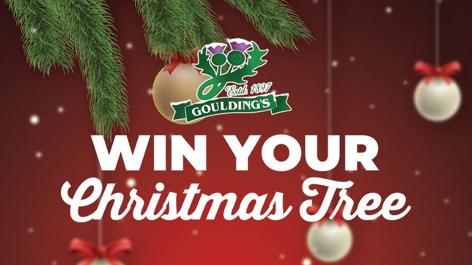 Enter to win your Christmas Tree with Gouldings Garden Centre! | Win ...