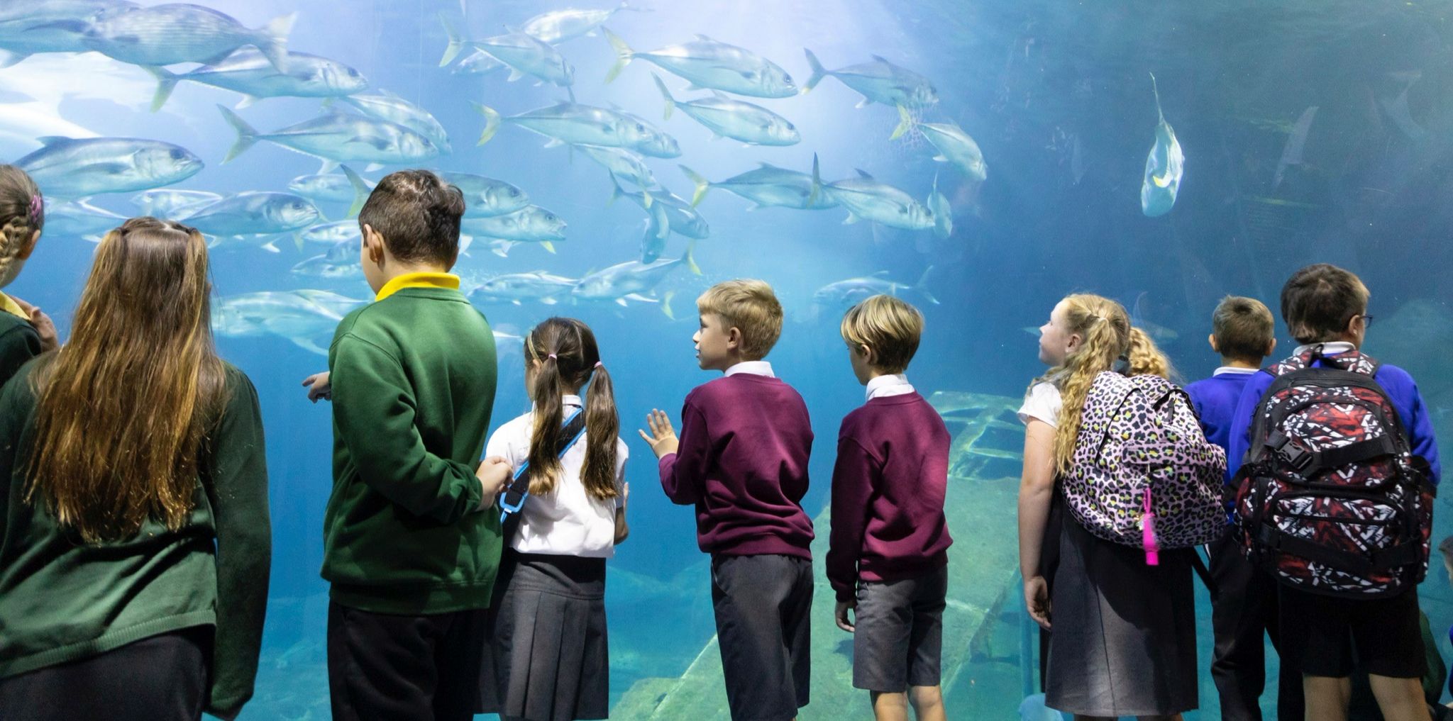 Devon pupils helping to test 'world inspiring' new ocean lessons | News ...