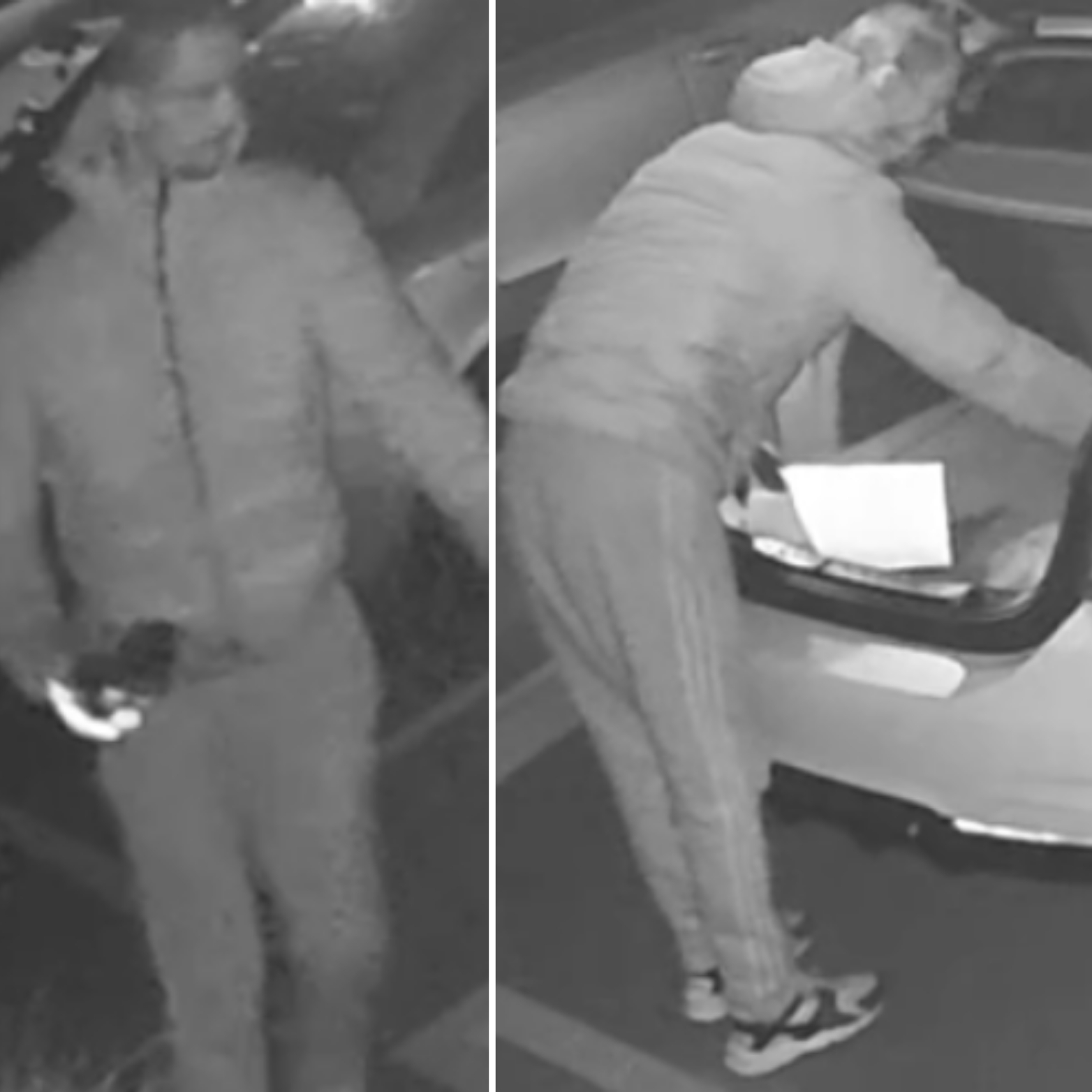 CCTV released following theft from car in Poole