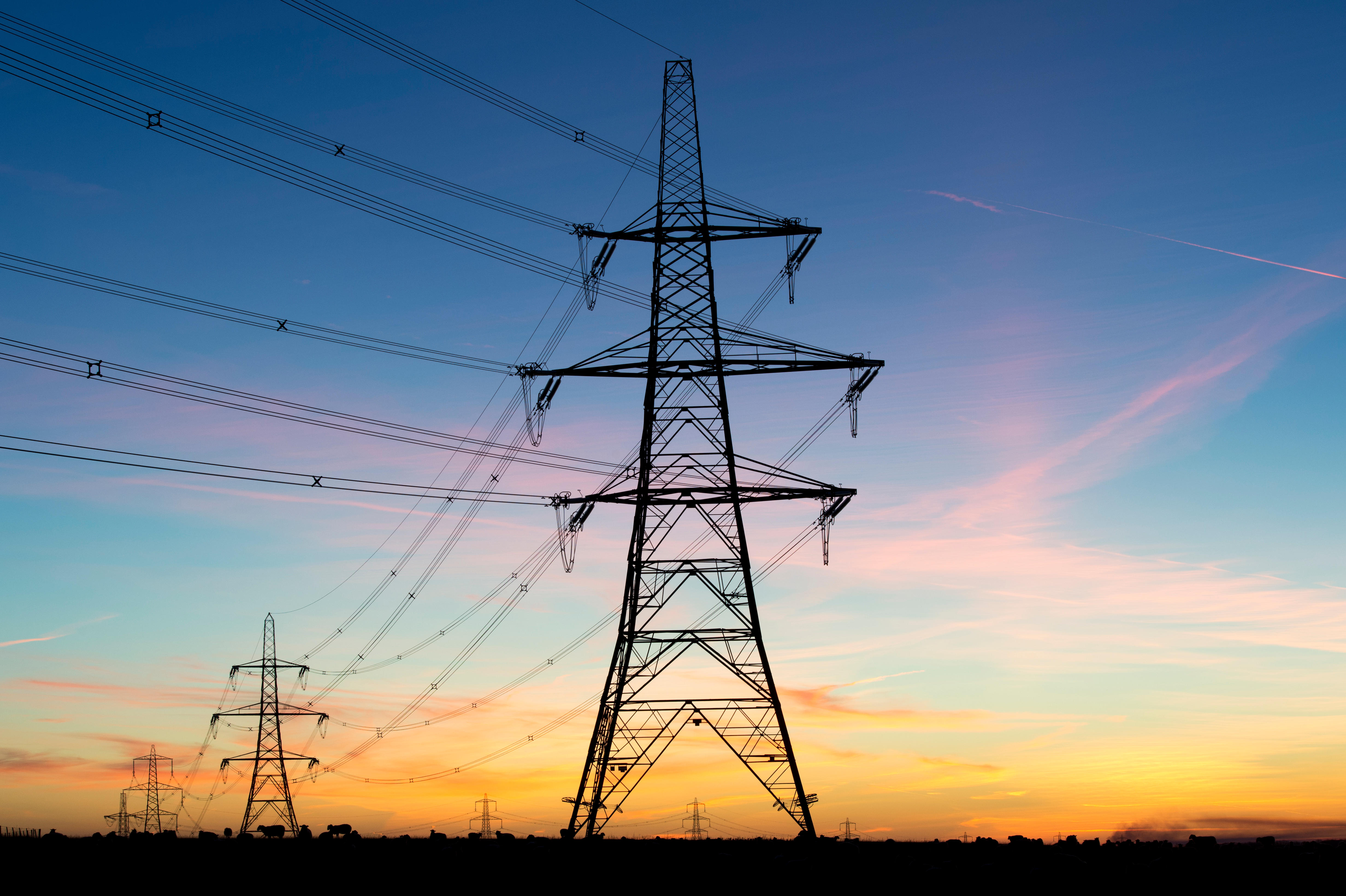 Campaigners opposing East Anglian pylons highlight views they'll lose ...