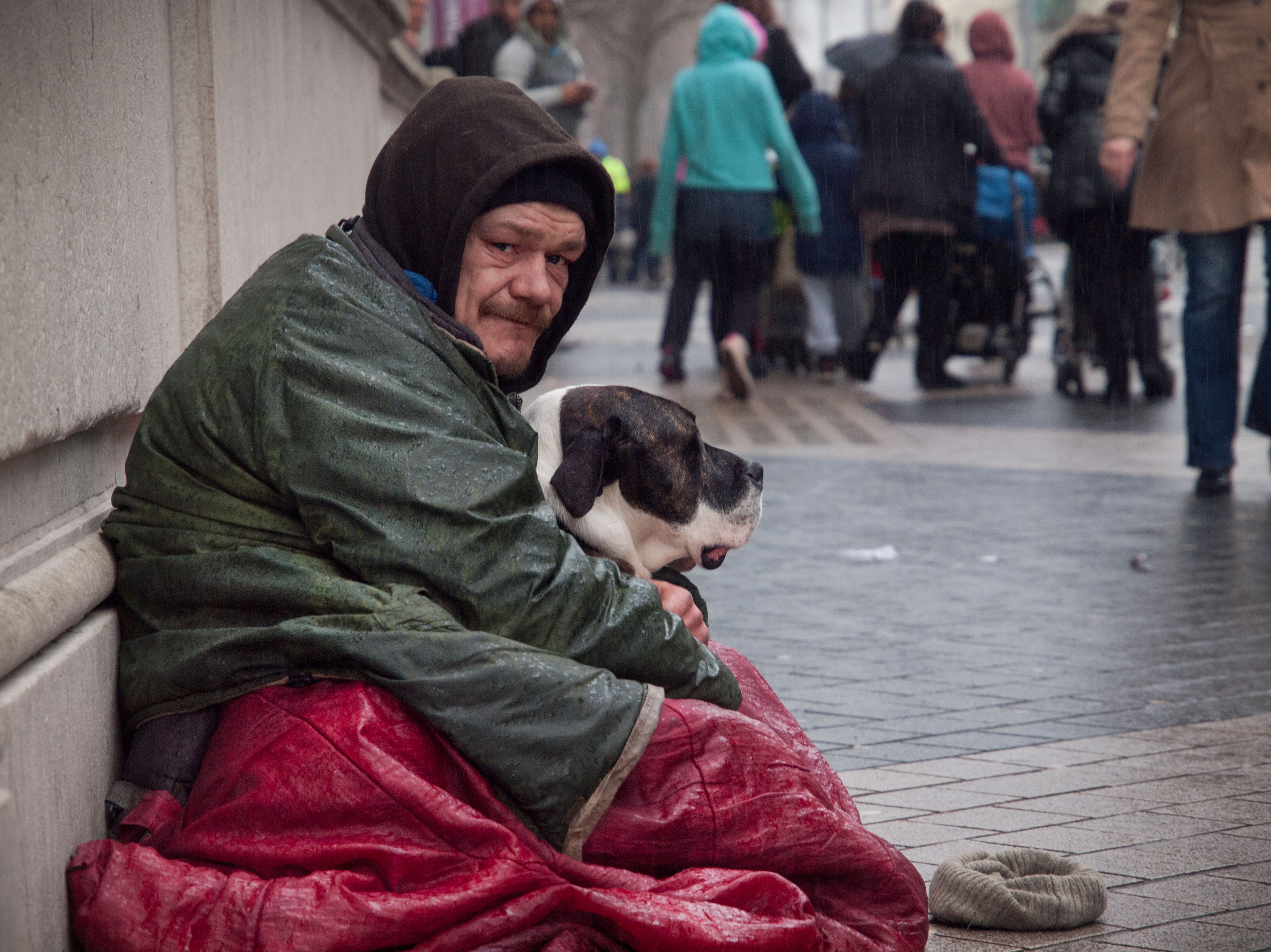 Christmas hampers given to homeless dog owners in Dorset